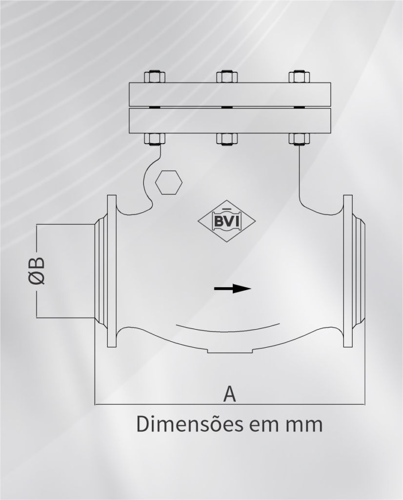 Válvula Retenção BW – BVI
